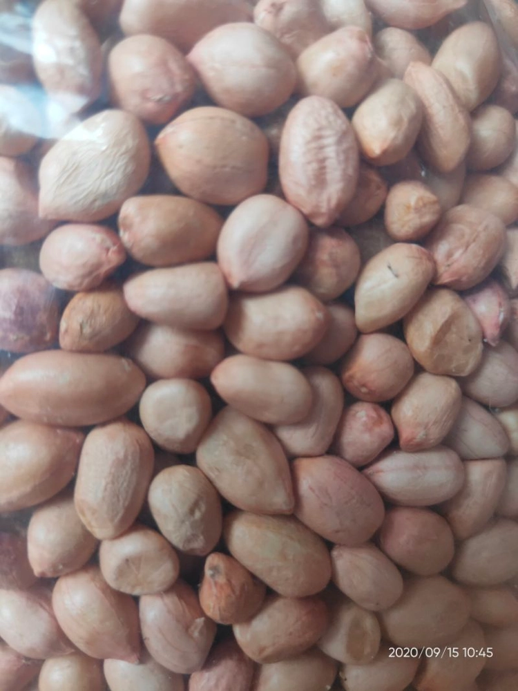Buy Groundnut Peanut (Mungfali) online from Mingle With Taste, Kondhwa Pune