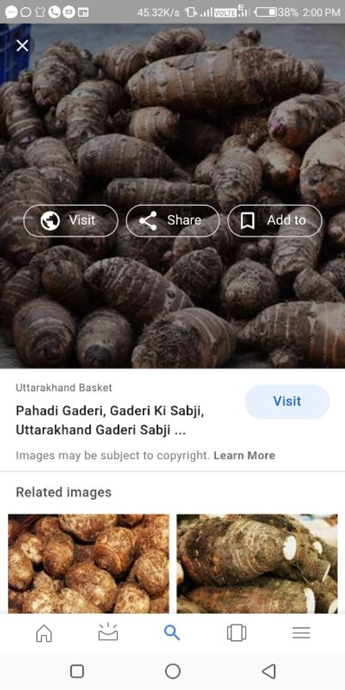 Buy Pahadi Gaderi online from Grocery