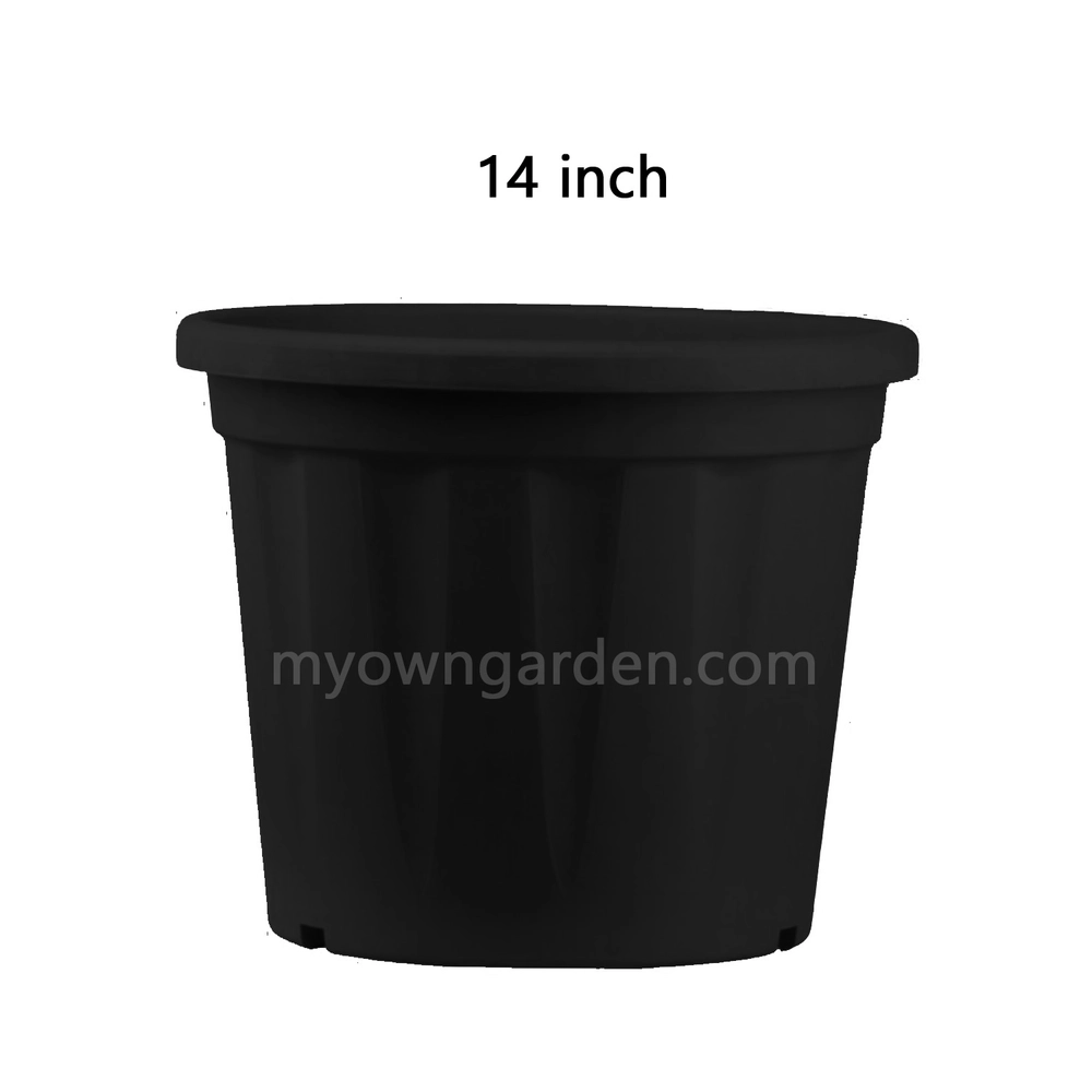 14" Harshdeep Pot Black - MyOwnGarden Agri Products