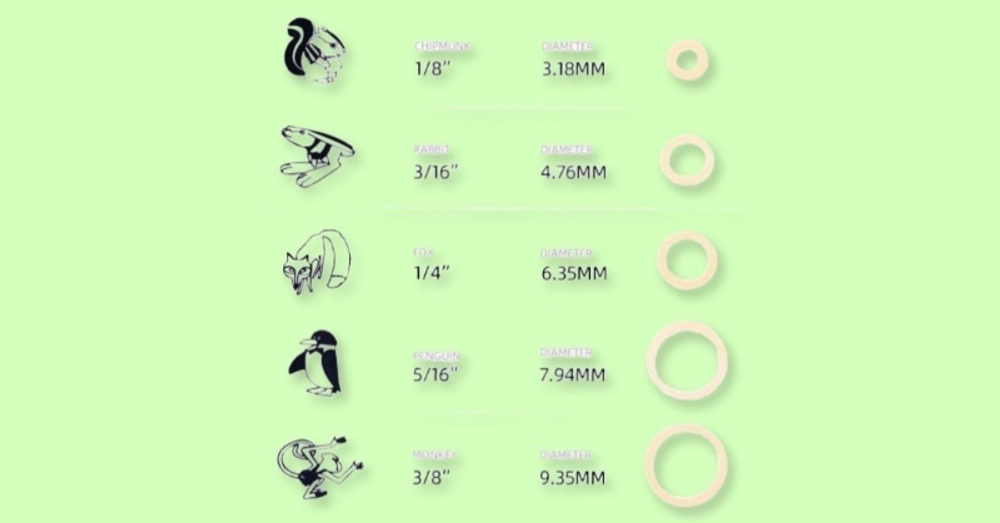 Ortho elastics each pkt -ORTHO- DENMAX DENTAL