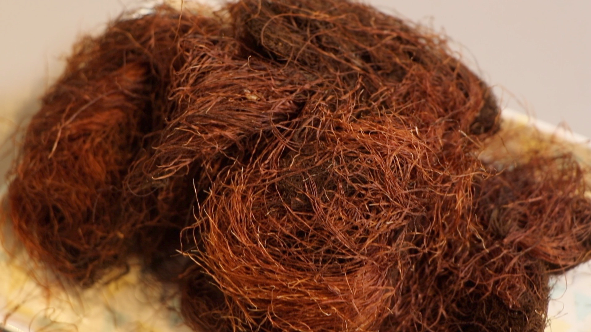 Dry Corn Silk (भुट्टे के बाल) - Shudh Farm