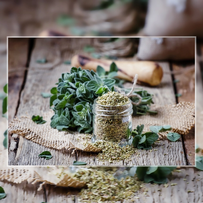 Shop the Finest Selection of Pickles, Herbs, Candy, & Seasoning Online