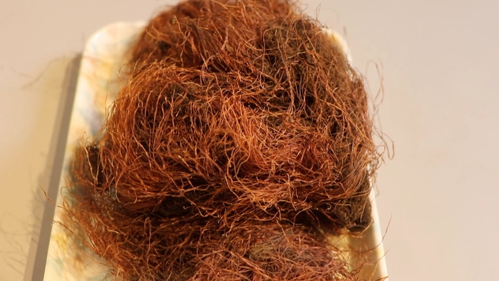 Dry Corn Silk (भुट्टे के बाल) - Shudh Farm