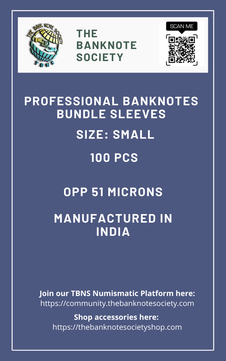 Professional Banknotes Bundle Sleeves - Pack of 100