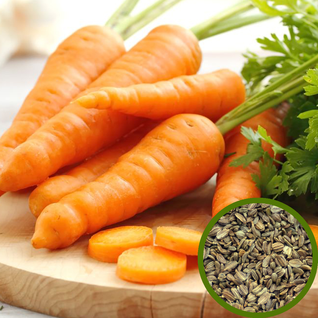 Carrot Seeds ( கேரட் விதை ) - MyOwnGarden®