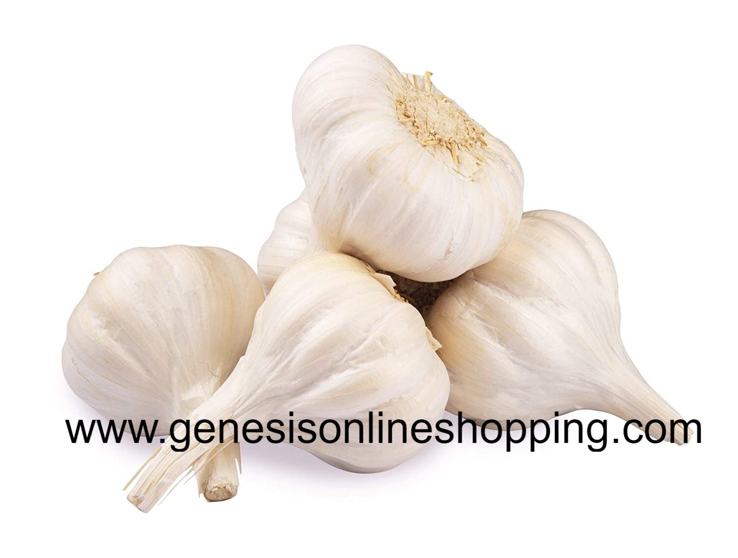 Buy GARLIC / VELUTHULLI in Trivandrum , Buy GARLIC / VELUTHULLI in ...