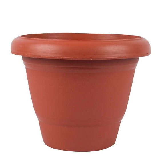 Buy Brown Plastic Pots Online in Delhi | Order Planters