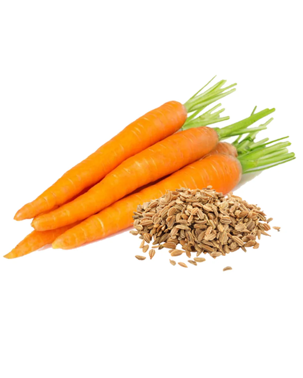Gajar Seeds (Carrot) Online at Best Price with Home Delivery