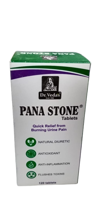 Dr. Veda's Pana stone Tablets - 120 Tablets, Pack of 1 - PANASIA HERBAL ...