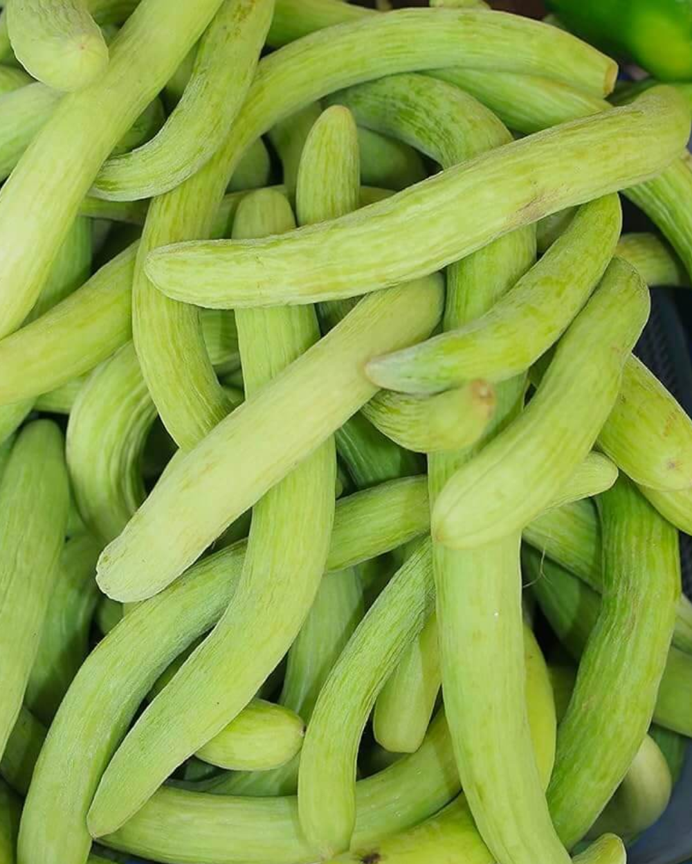 Kakdi Seeds (Cucumber) Online at Best Price with Home Delivery