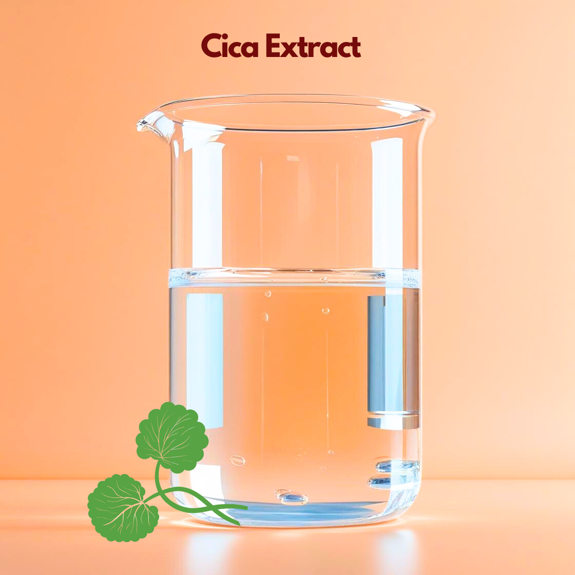 Cica Extract | Centella Asiatica | Skin Repair & Soothing Ingredient