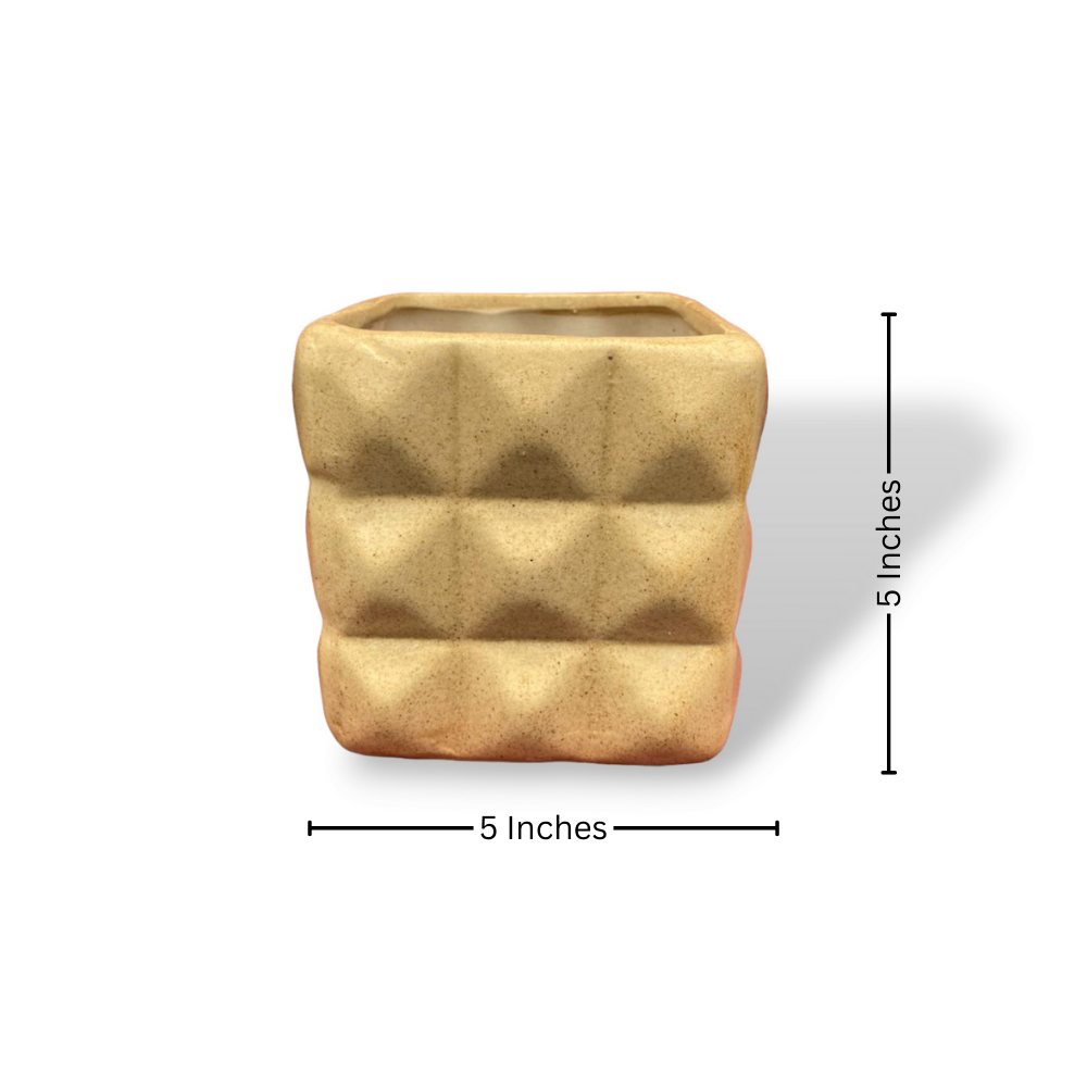 Handpainted Square Ceramic Pot (5x5 inches) - Buy Now