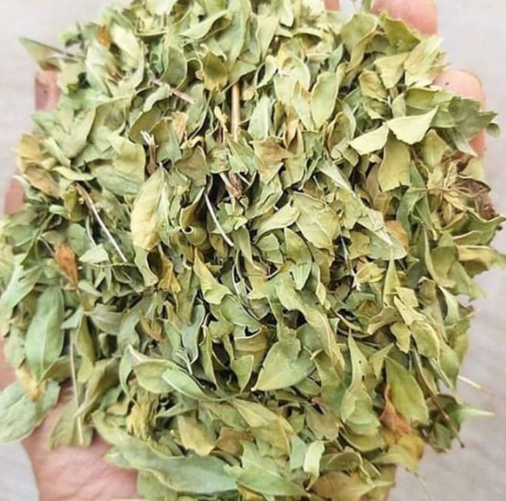 Neem Leaves (Conventional Grade - Dried Whole)50 kg pack - vertex ...