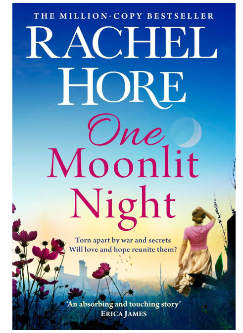 One Moonlit Night