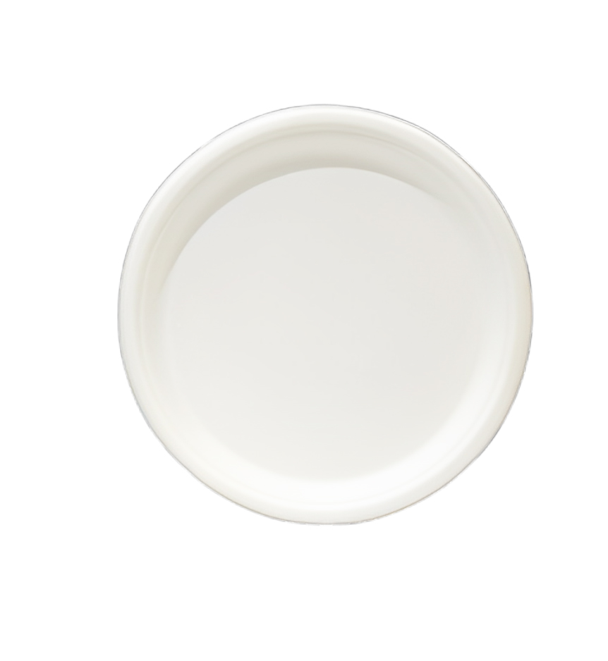 Biodegradable 12" Round Plain Plate - Order-iin