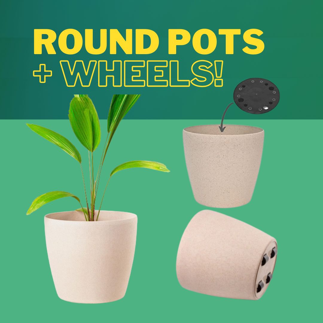 DECO Planters With Wheels - Pots And Planters