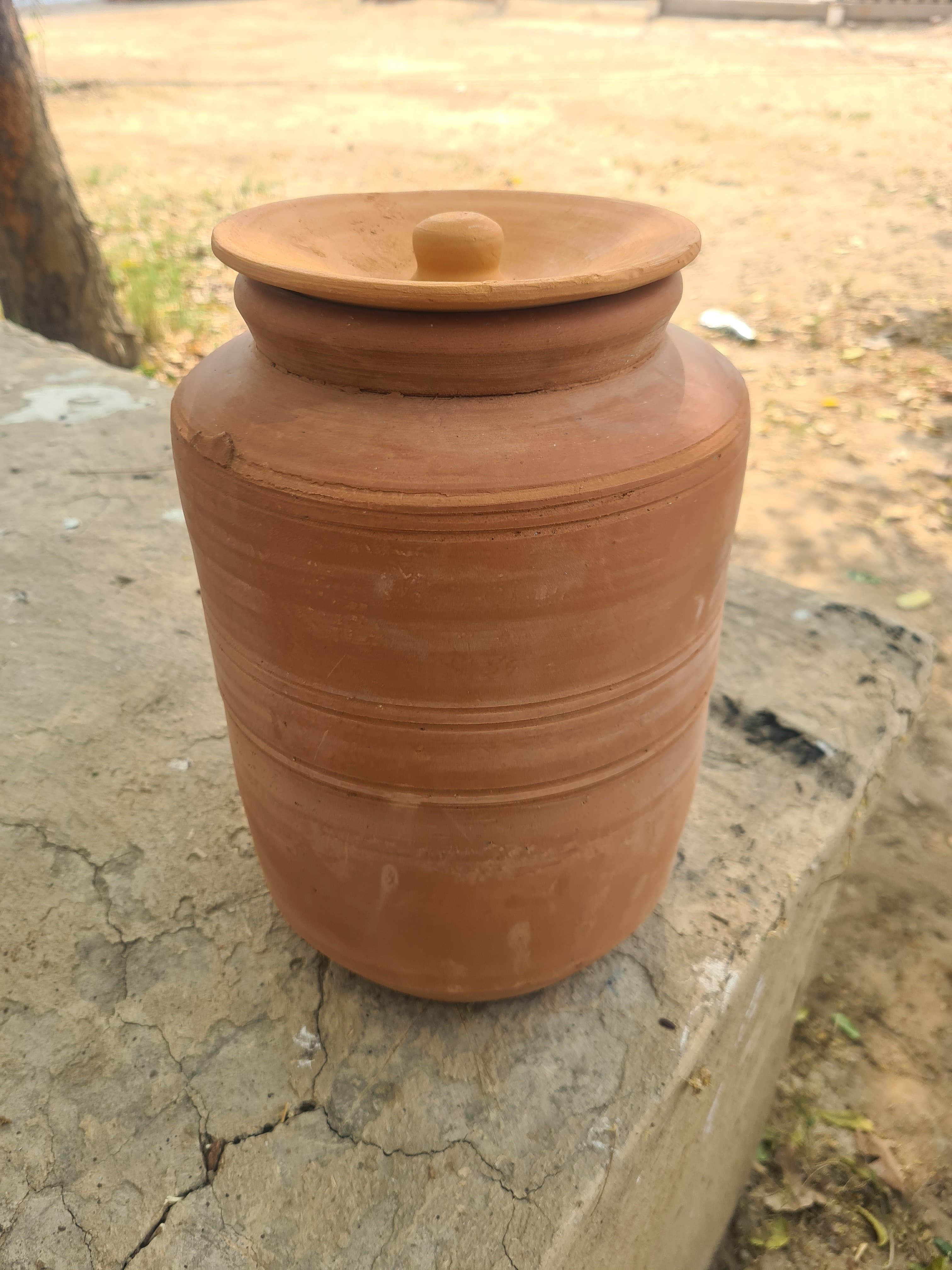 Clay Pot (Matka) - Shudh Farm (Prakritikshala India Private Limited)