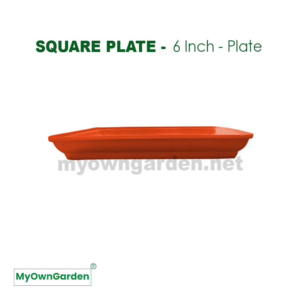 High-Quality 6-Inch Square Tray for Pot Drainage