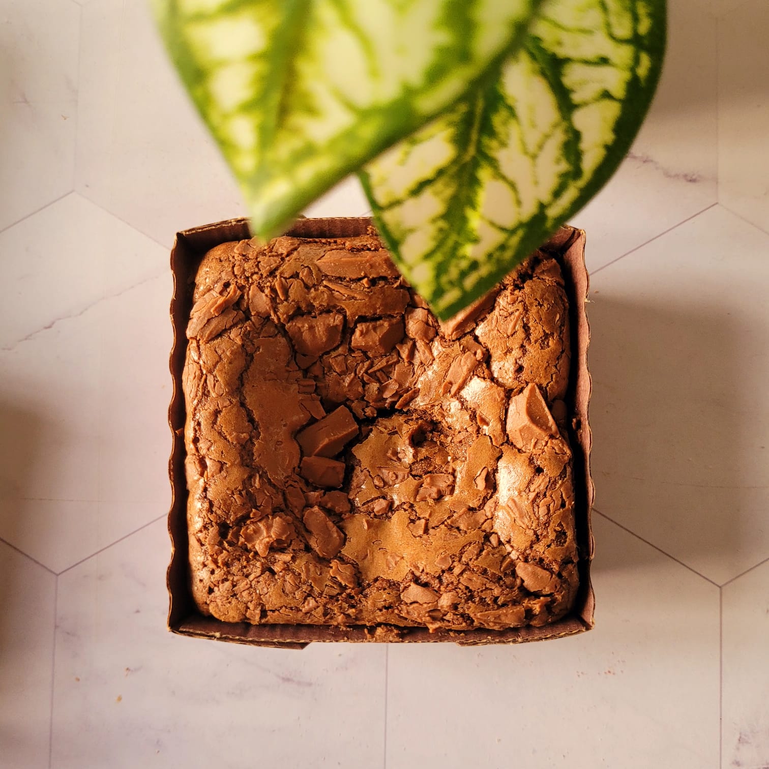 Chocolate Delight Burst - Mrs.Delights