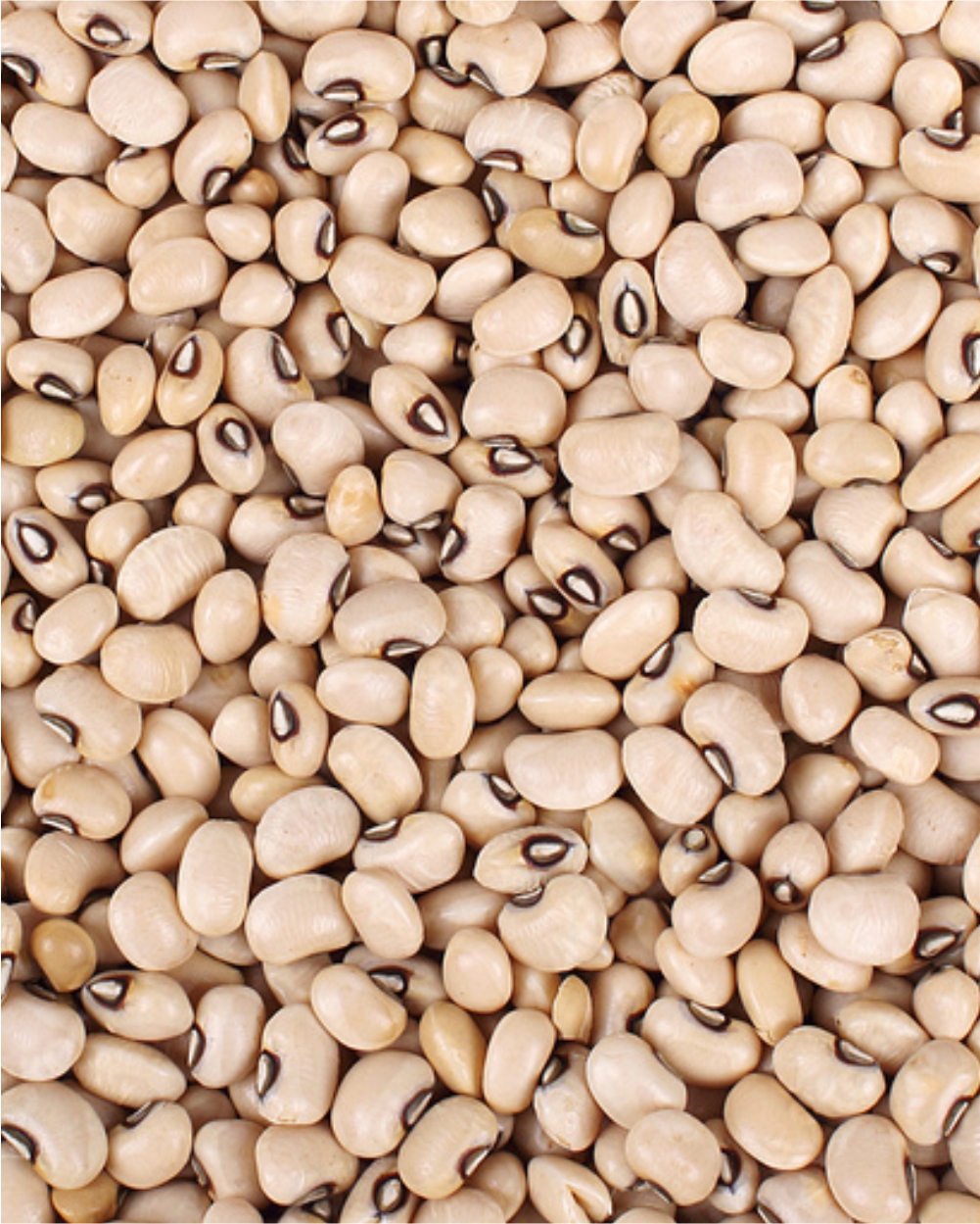White Lobia Beans (Black Eyed Peas)- Premium - Ezy Grocery (Vagisha ...