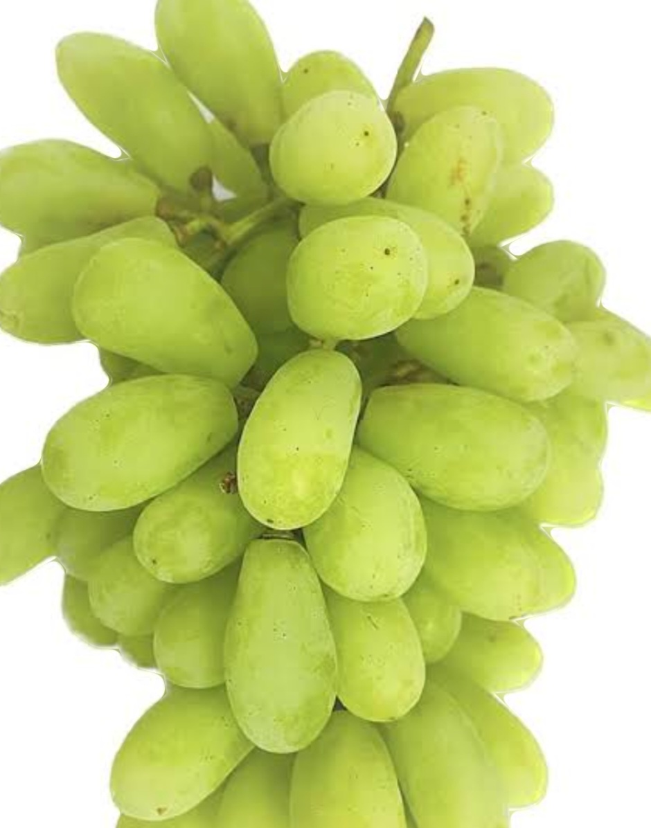 Grapes - Sofizain