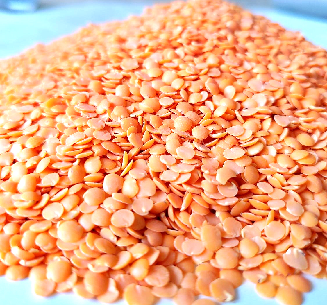 Organic Masoor Dal - Shudh Farm (Prakritikshala India Private Limited)