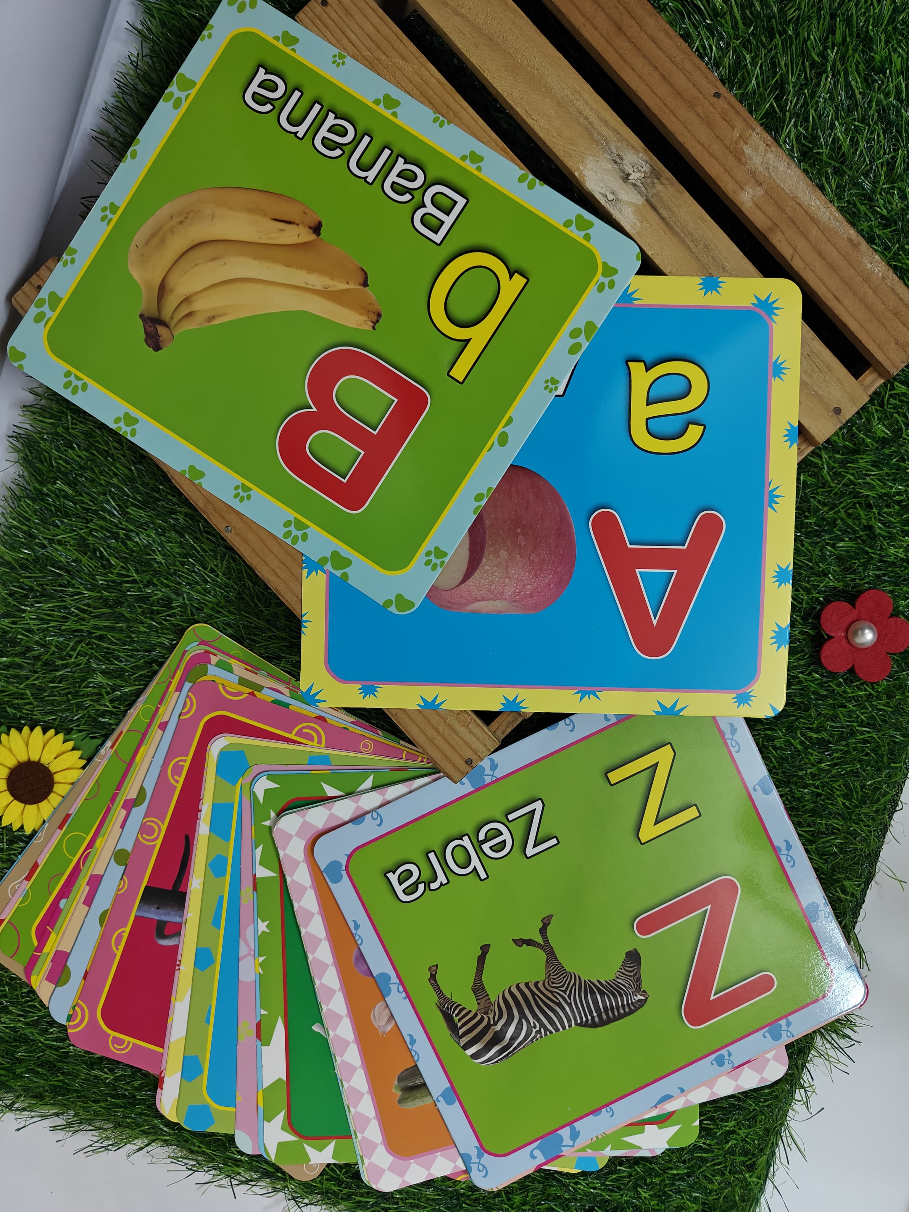 Brainy Bugs Kids Alphabet Flashcards - Brainy Bugs