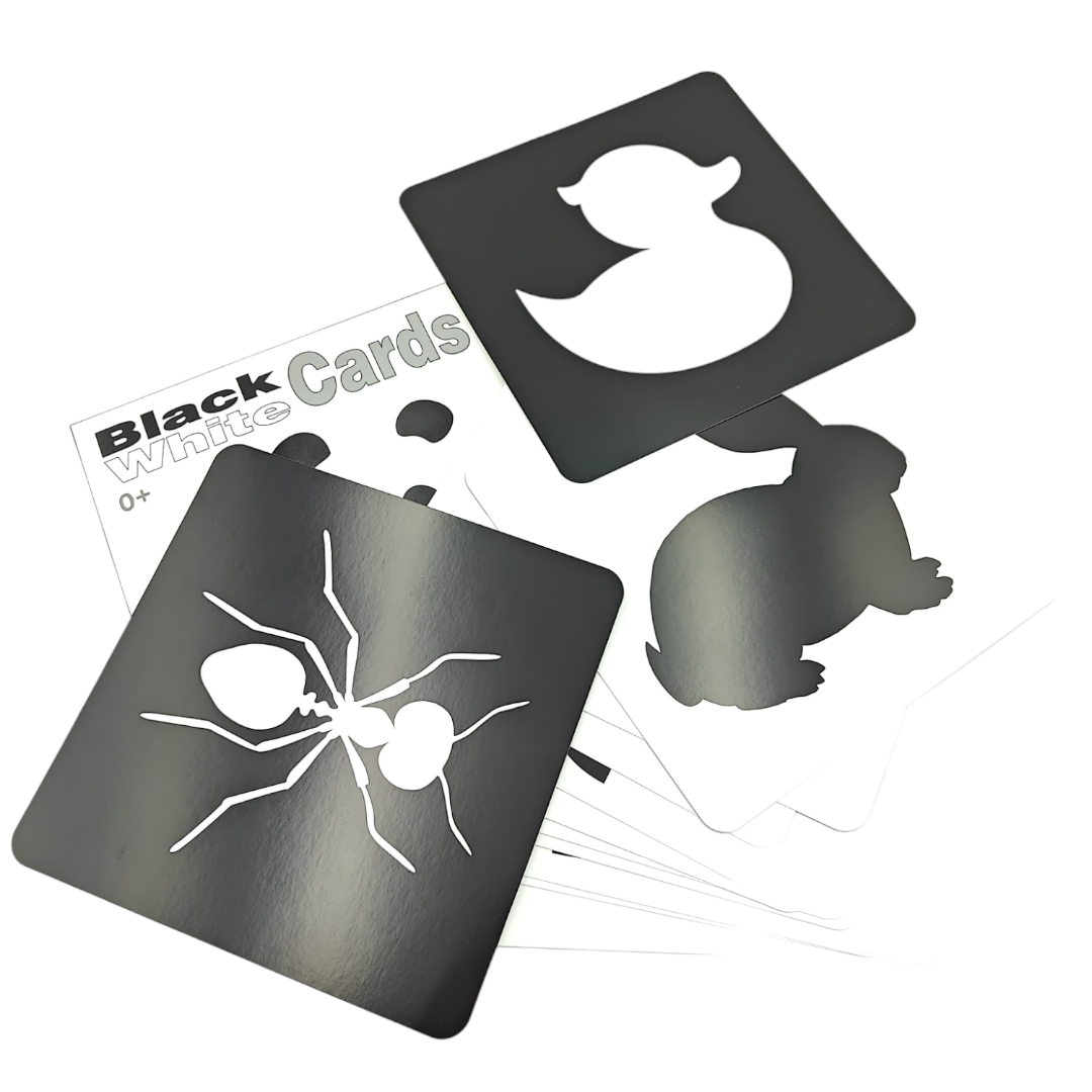Cards - Brainy Bugs