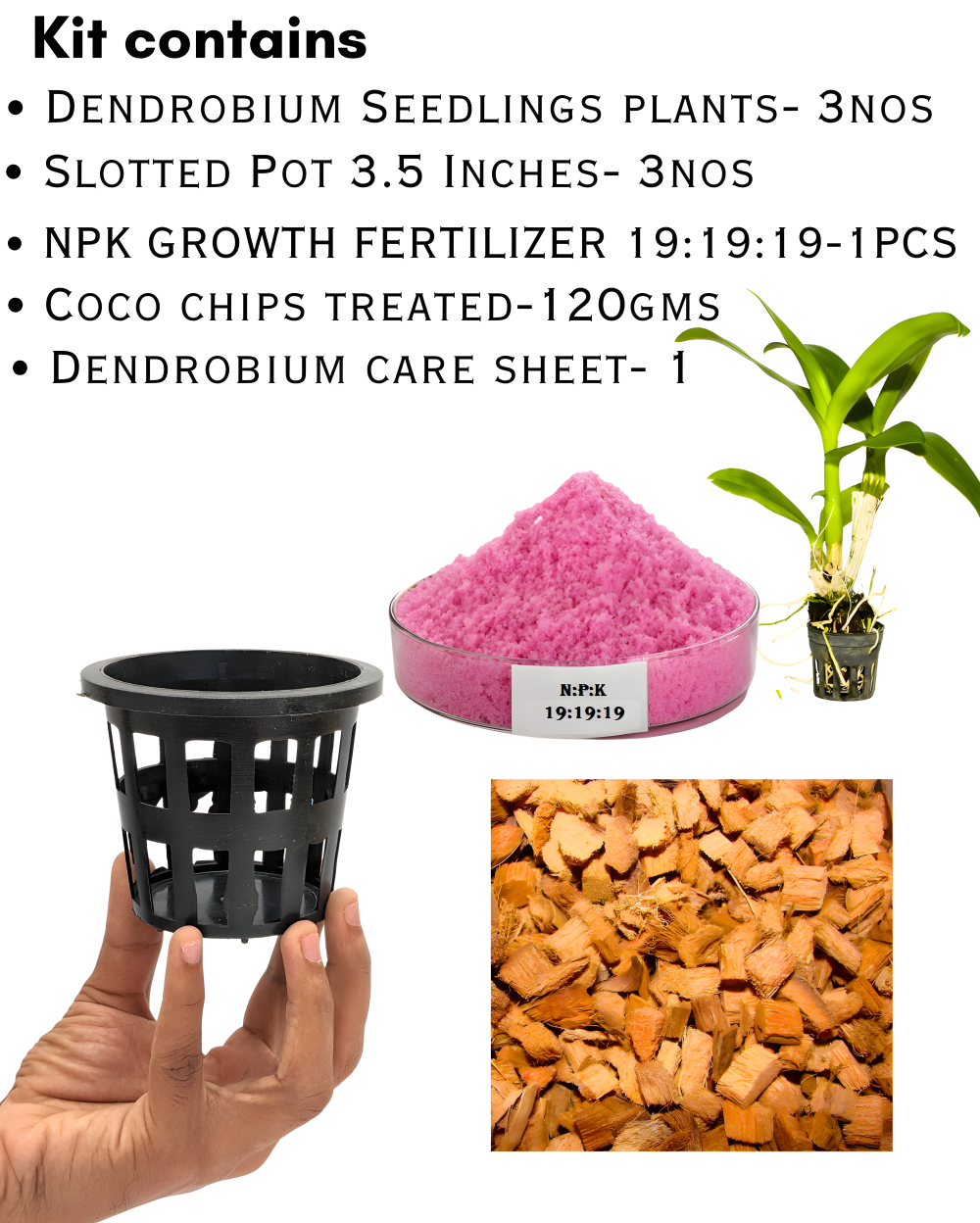 Beginners Orchid Growing Kit - Divine Blossoms Orchid Boutique