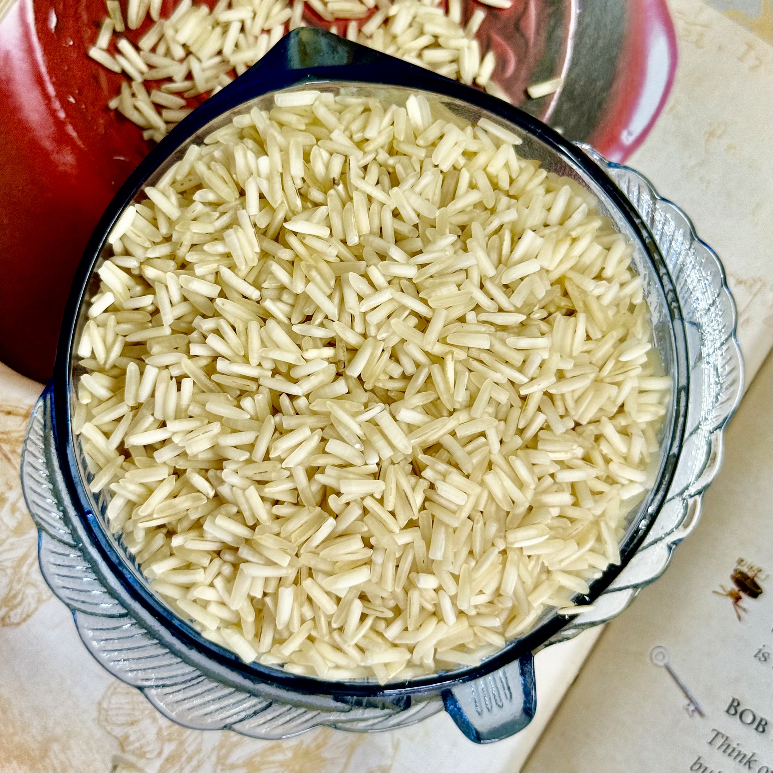 Basmati Tibar ( Poniya ) Old - Satyam Enterprises