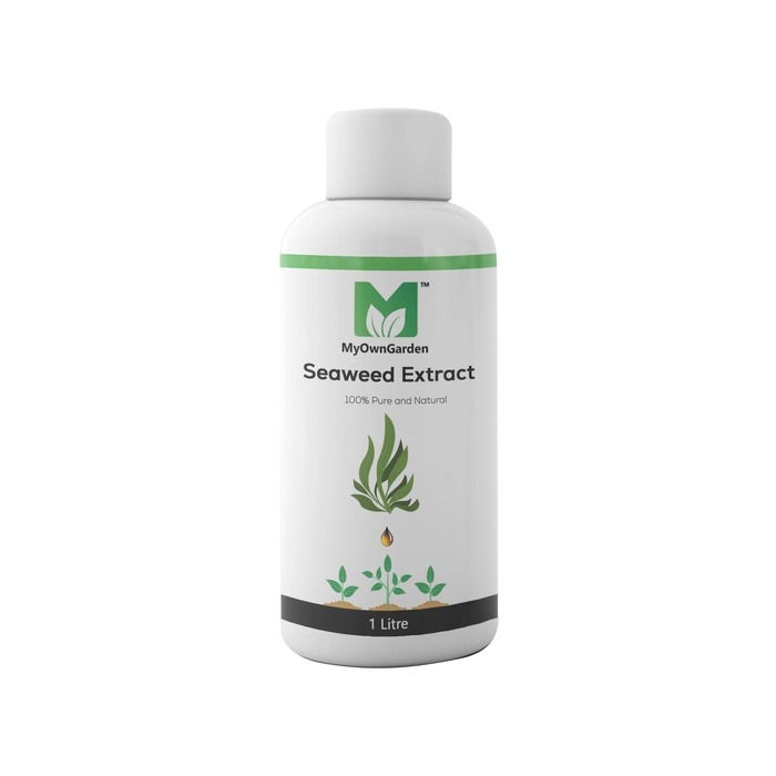 Seaweed Extract 100ml (Seaweed Liquid Fertilizer) - Online Plants Cart