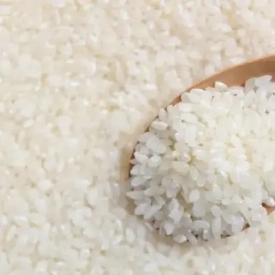 ChittiMuthyalu Tiny Pearl Rice 5 KG - Premium Quality