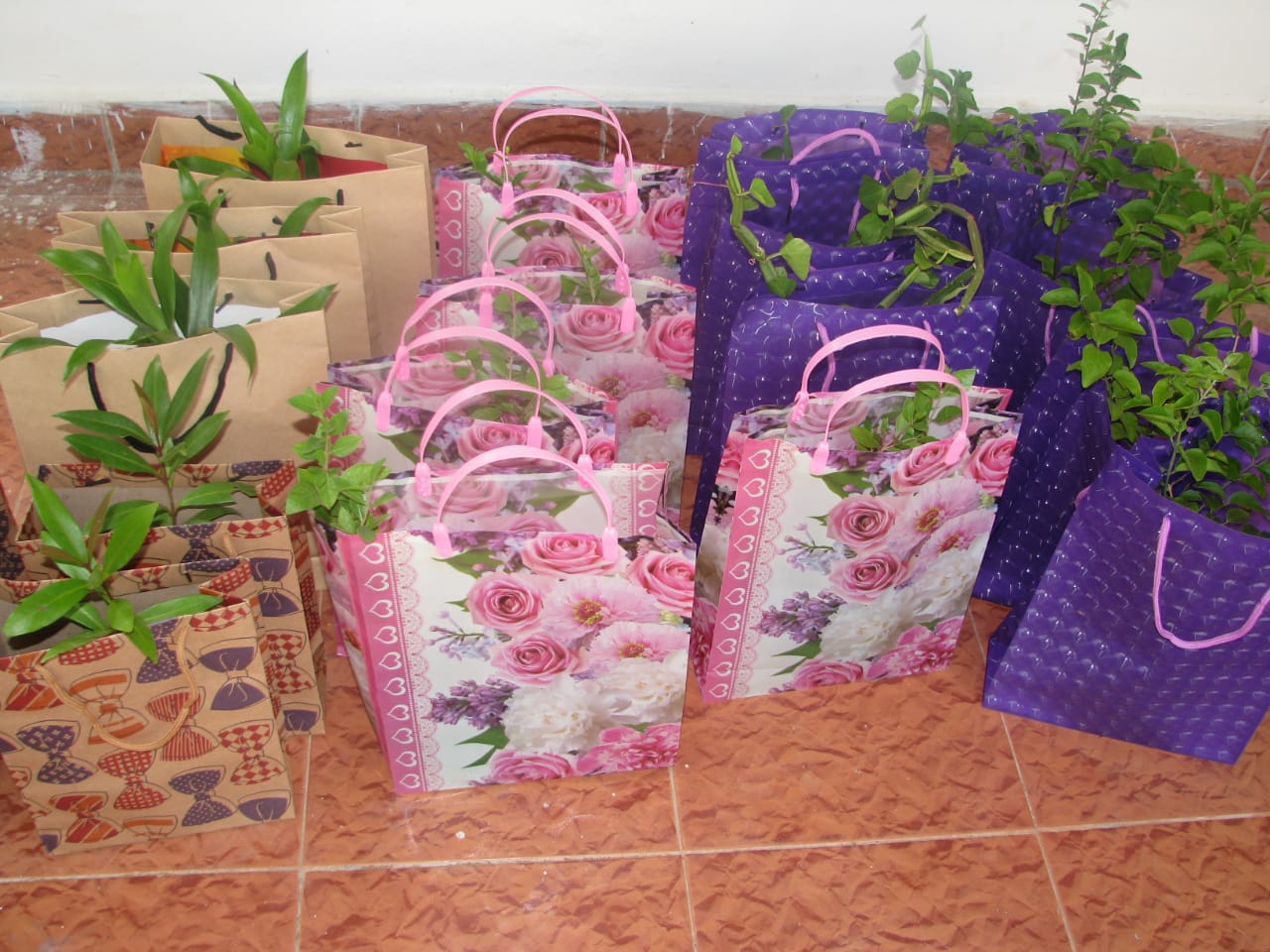 Bulk Return Gifts - 200 Plant Gifts for Guests