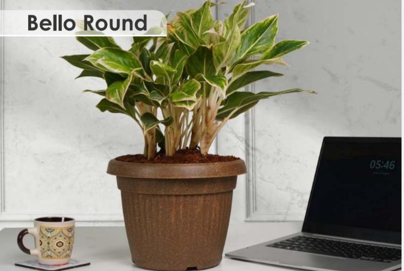 Bello Round Planter - Eco Series | Premium Quality