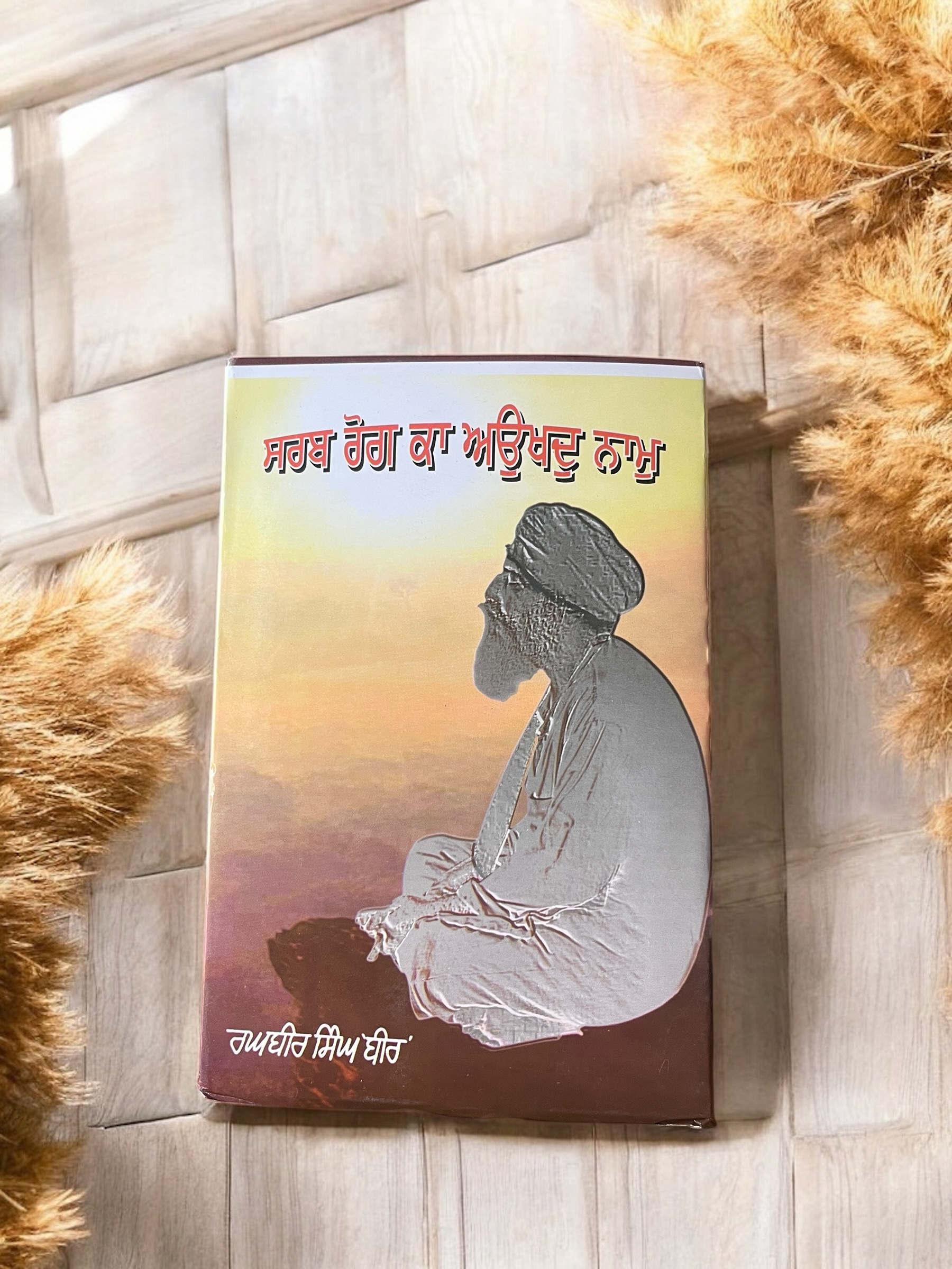 Sarab rog ka aukhad naam -Raghbir singh bir - khari kitab