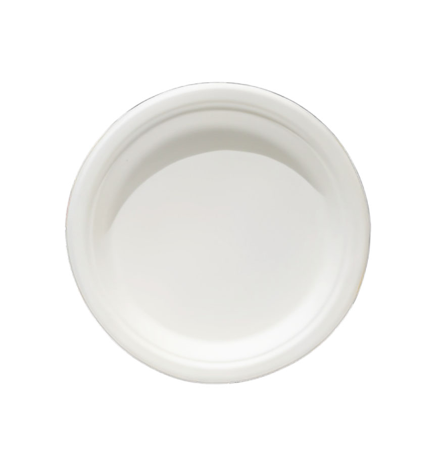 Biodegradable 9 No. Round Plain Plate - Order-iin