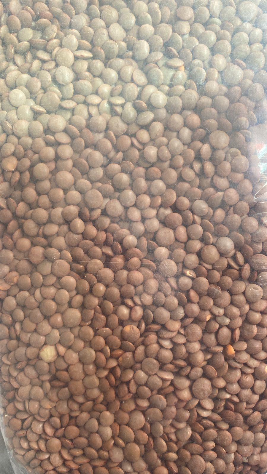 Organic Masoor Dal With Skin - Shudh Farm (Prakritikshala India Private ...