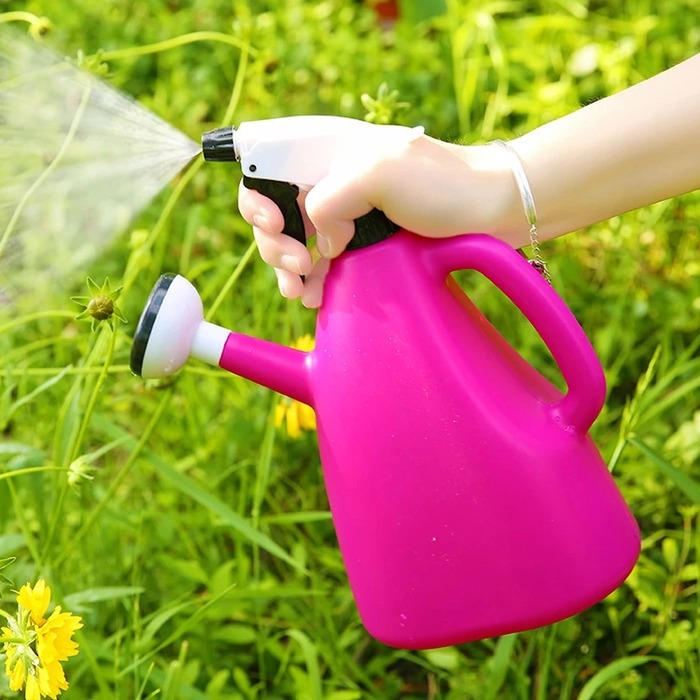 2-in-1 Watering Can & Sprayer (1 Liter) - Online Plants Cart