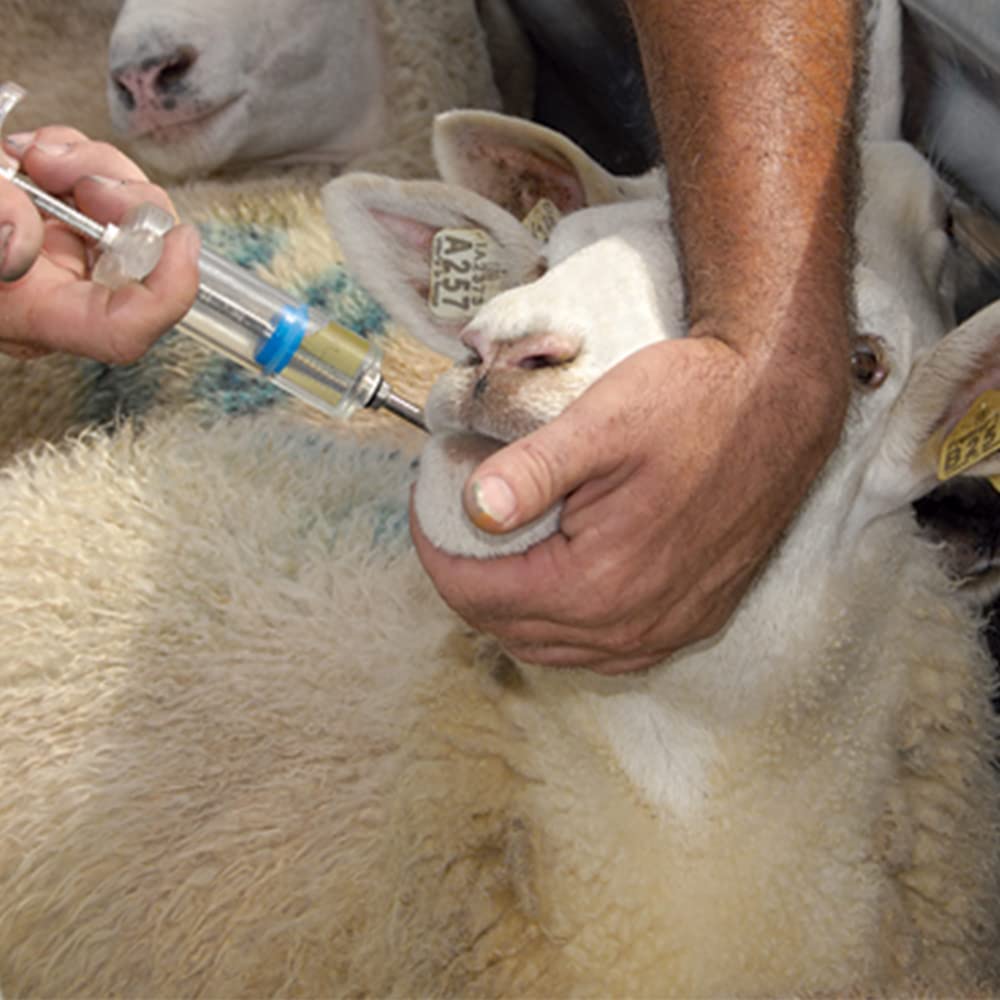 Oral Drencher for Goats, Sheep, and Dogs
