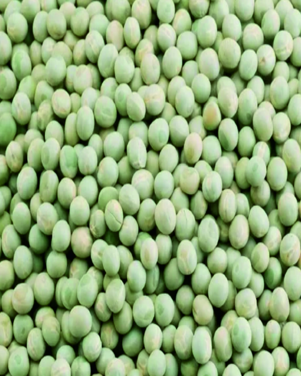 Green Peas / Hara Matar (Dry) - Unpolished (Premium), 500g Pkt - Ezy ...
