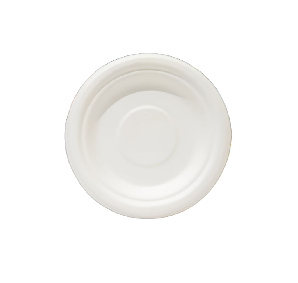 Biodegradable 6 No. Round Plain Plate - Order-iin