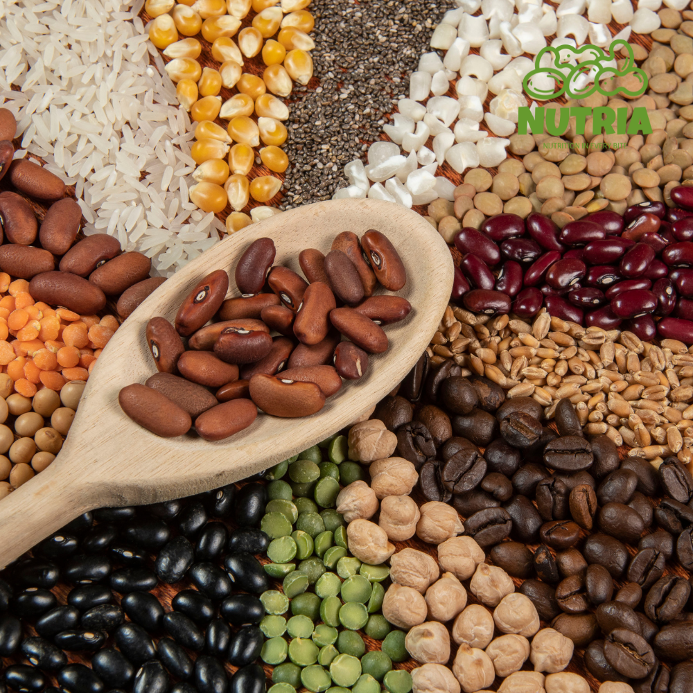 SPROUTED MILLETS & DRYFRUITS HEALTHMIX - NUTRIA