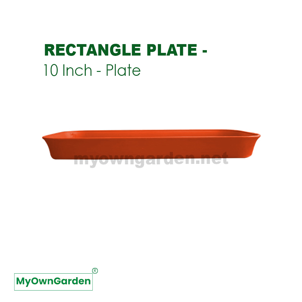 10-Inch Rectangular Tray for Pot - Bottom Drainage