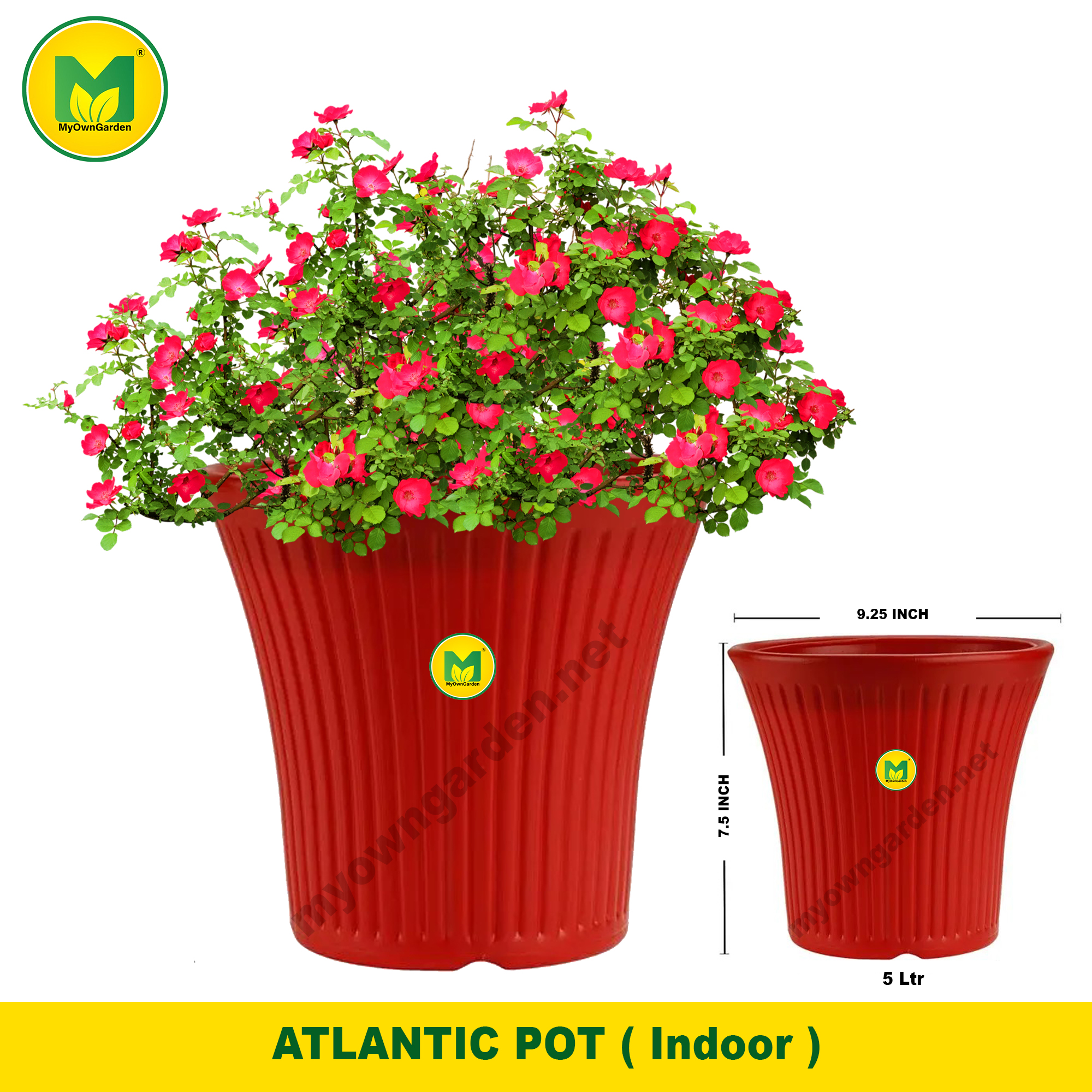 Atlantic Pot- 9.25INCH - MyOwnGarden®
