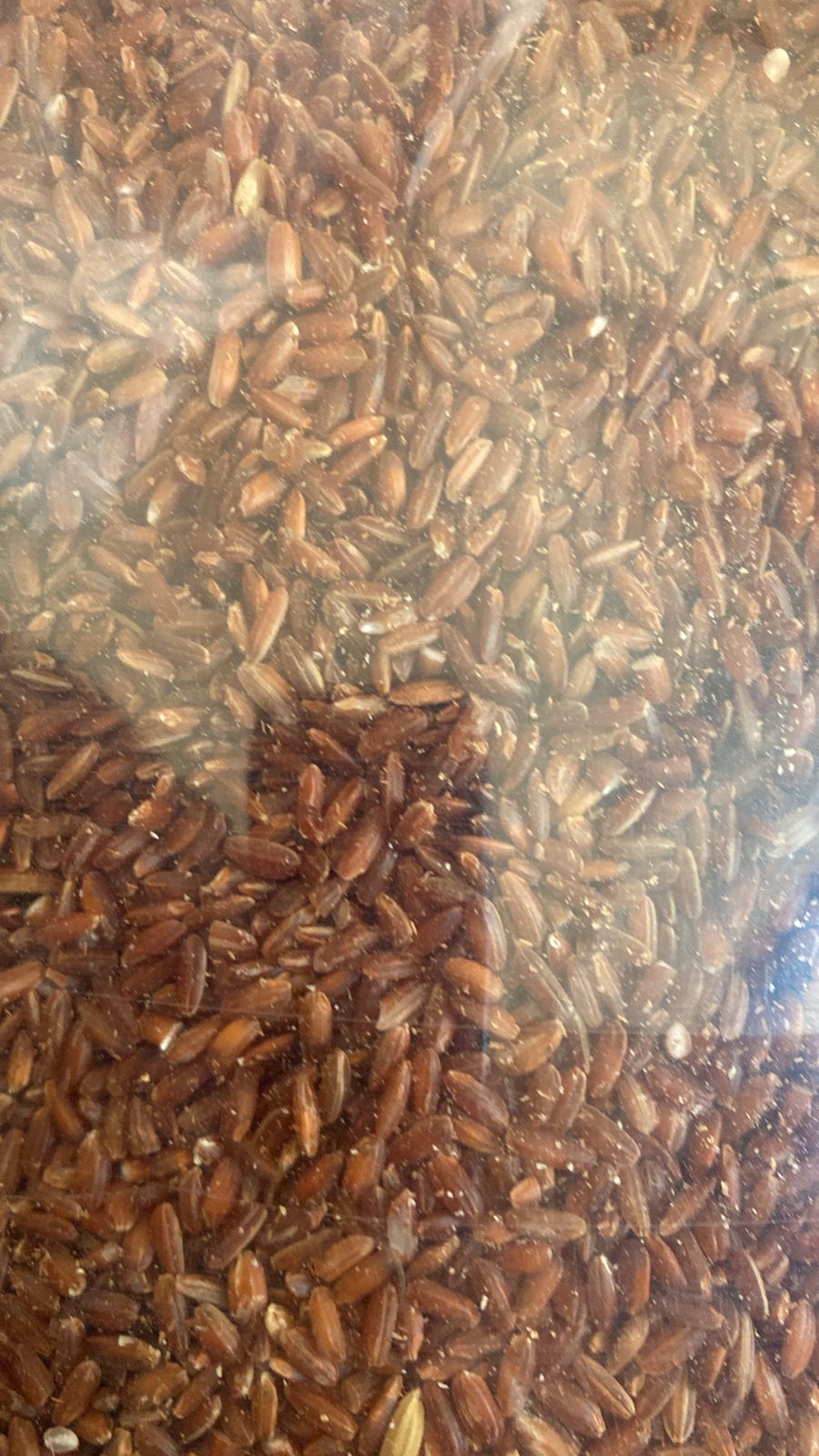 Organic Red Rice - Shudh Farm (Prakritikshala India Private Limited)