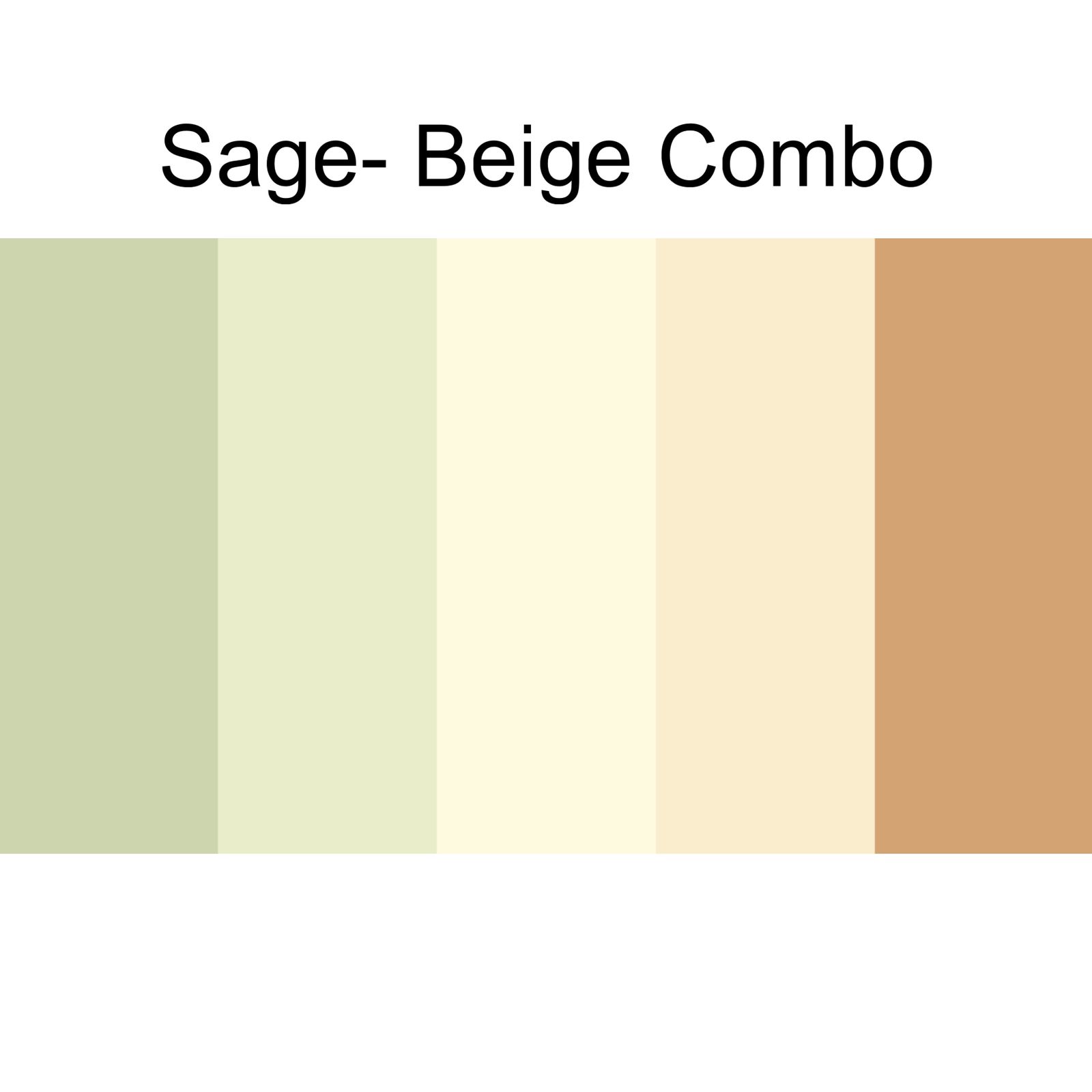 Sage-Beige Solid Combo - Prism Props