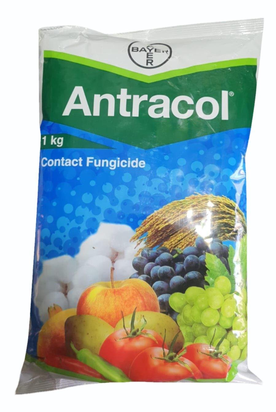 Antracol - Go Green