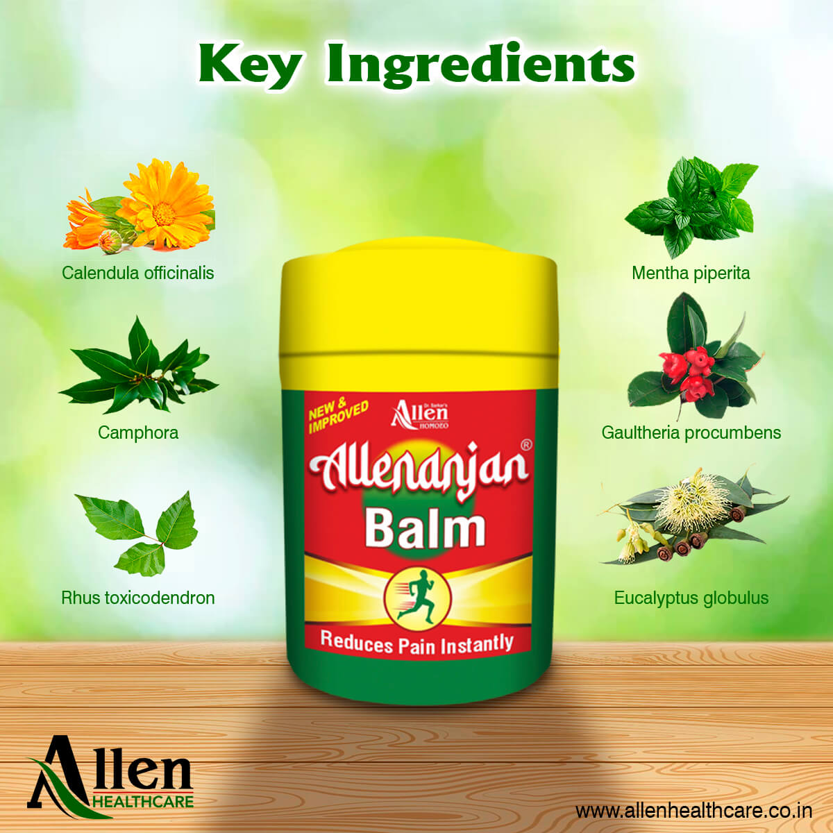 Allen Balm – Instant Homeopathic Pain Relief for Headaches, Backache ...
