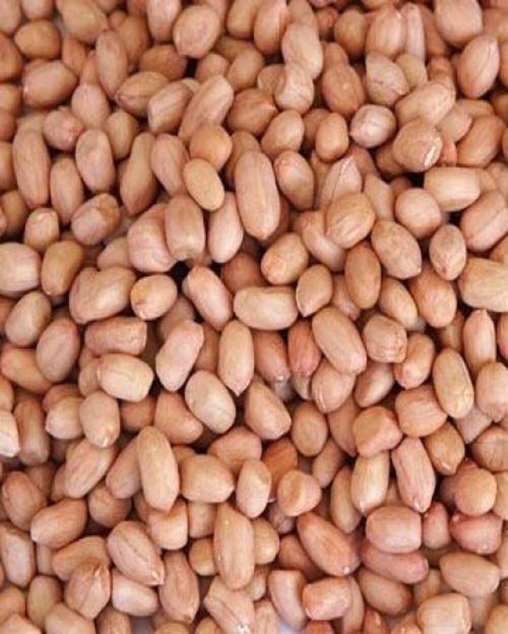 Moongfali Badam / Raw Peanut / Ground Nuts , 250g Pkt - Ezy Grocery ...