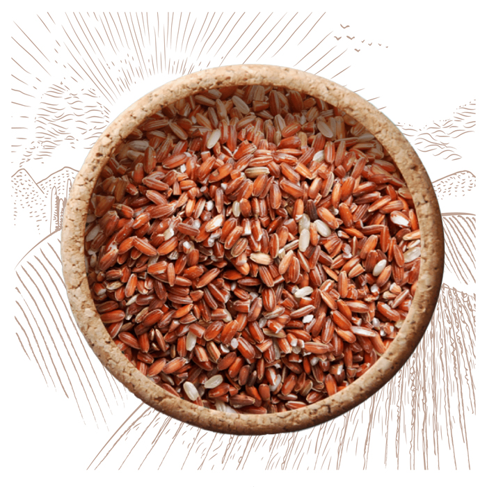 Buy Mappillai Samba Rice Online - Authentic & Quality